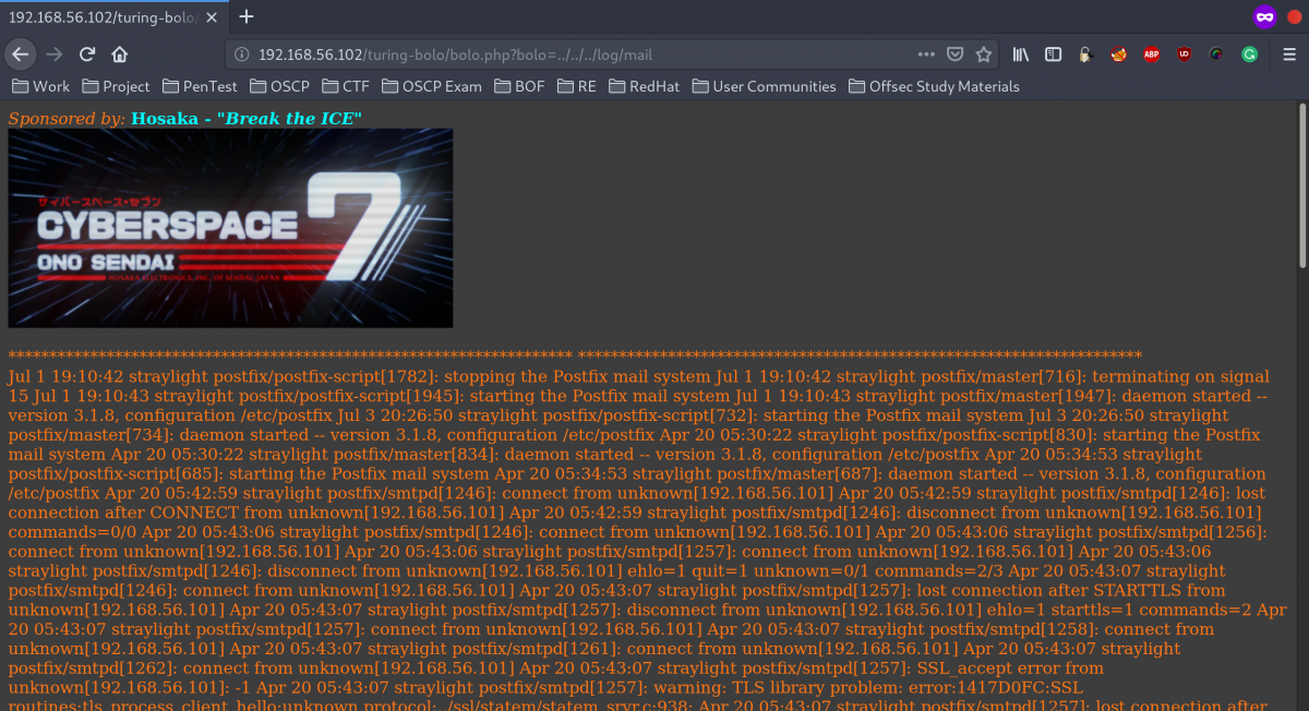 WinterMute Straylight Beta Writeup – TCERT